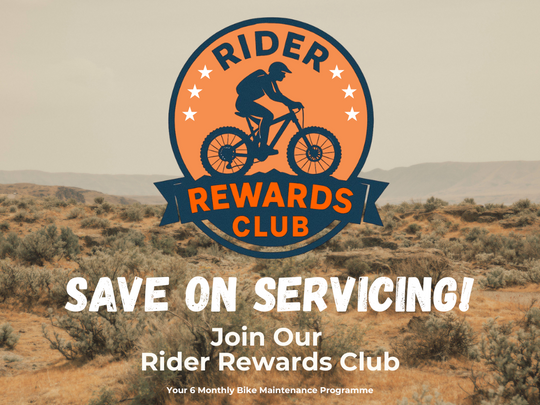 Electric Bikes Plus - Home – Electric Bikes Plus NZ